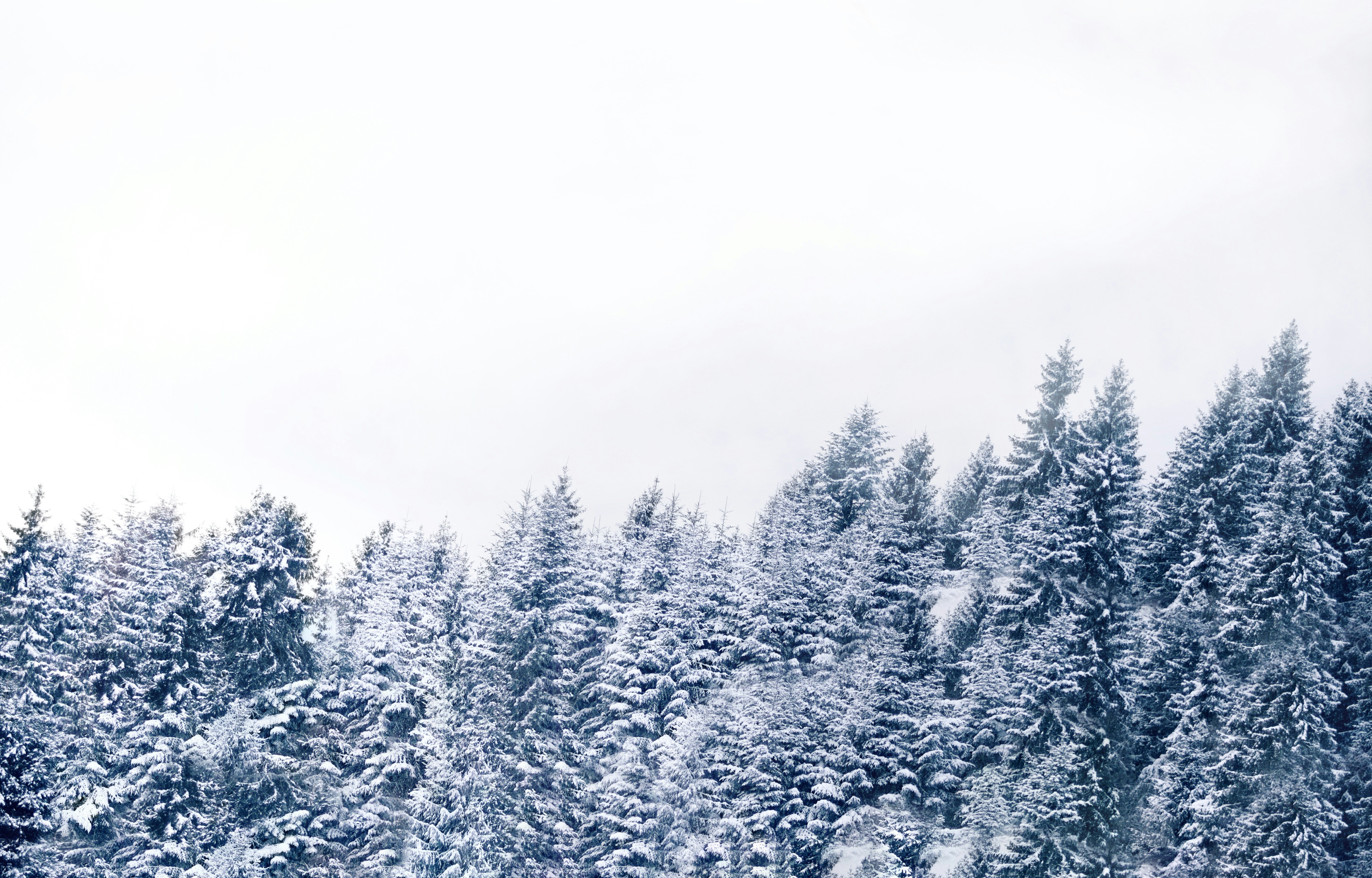 Serverando | Server und Komponenten gebraucht kaufen